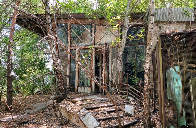 A Rustic, Abandoned House Nestled Amongst the Trees, with Peeling Paint ...