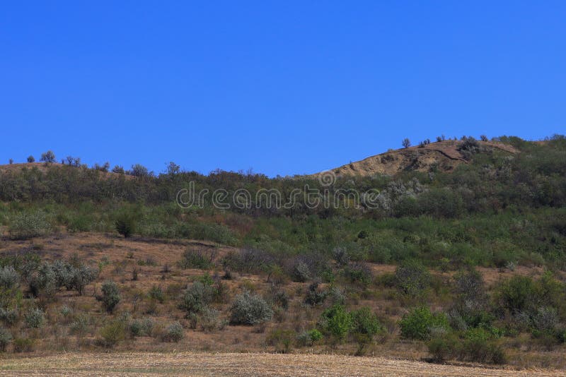 Rustic Agricultural Background in Open Field Outside the City Stock ...