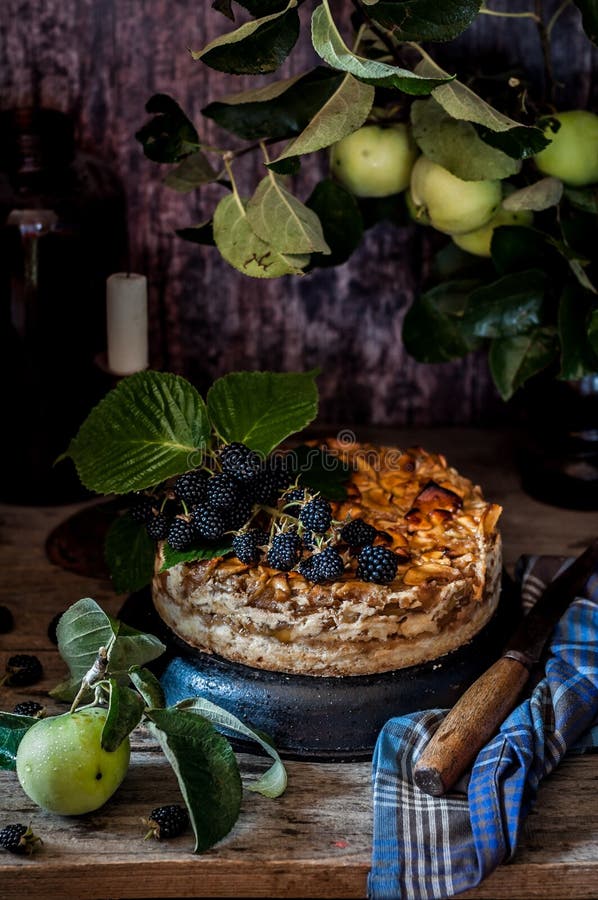 Rustic Apple Pie stock photo. Image of leaf, bake, dessert - 113466754