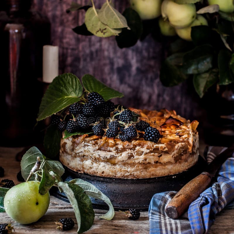 Rustic Apple Pie stock image. Image of apple, filling - 120216807