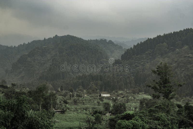 Rustic Atmosphere with Monochrome Stock Photo - Image of mist, tree ...