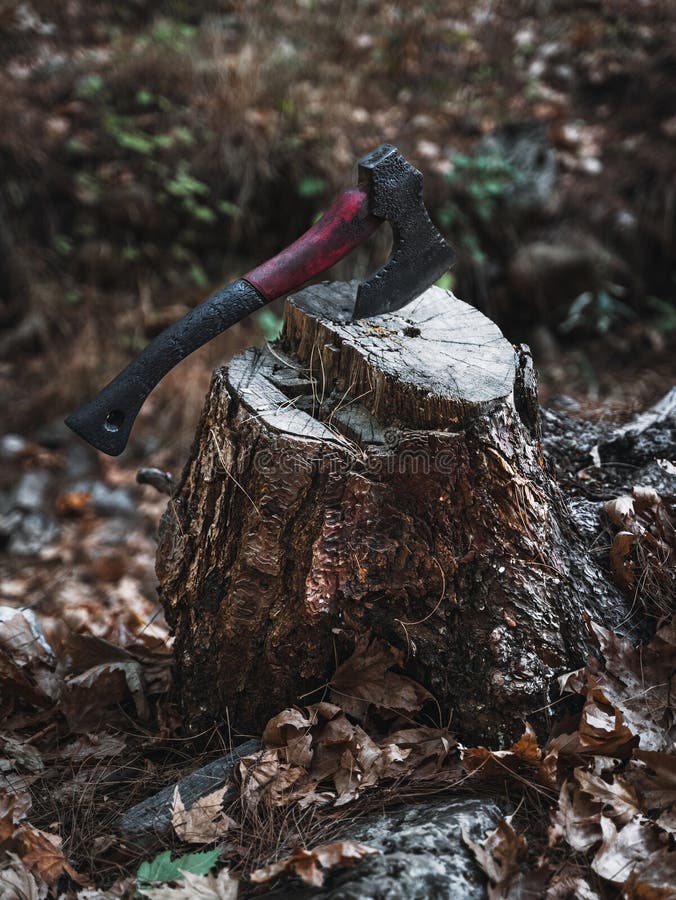 Rustic Axe in Tree Stump stock photo. Image of quality - 337494078