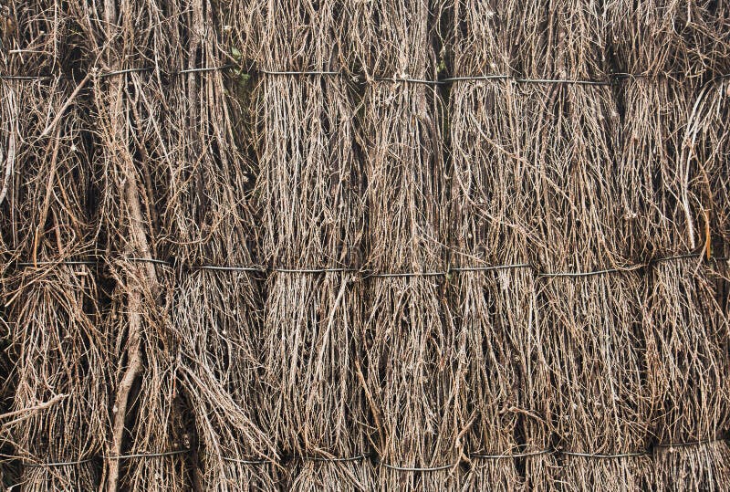 Rustic background in brown stock photo. Image of material - 238651154