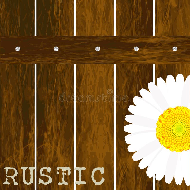 Rustic Background with Fence and Daisy Stock Vector - Illustration of ...