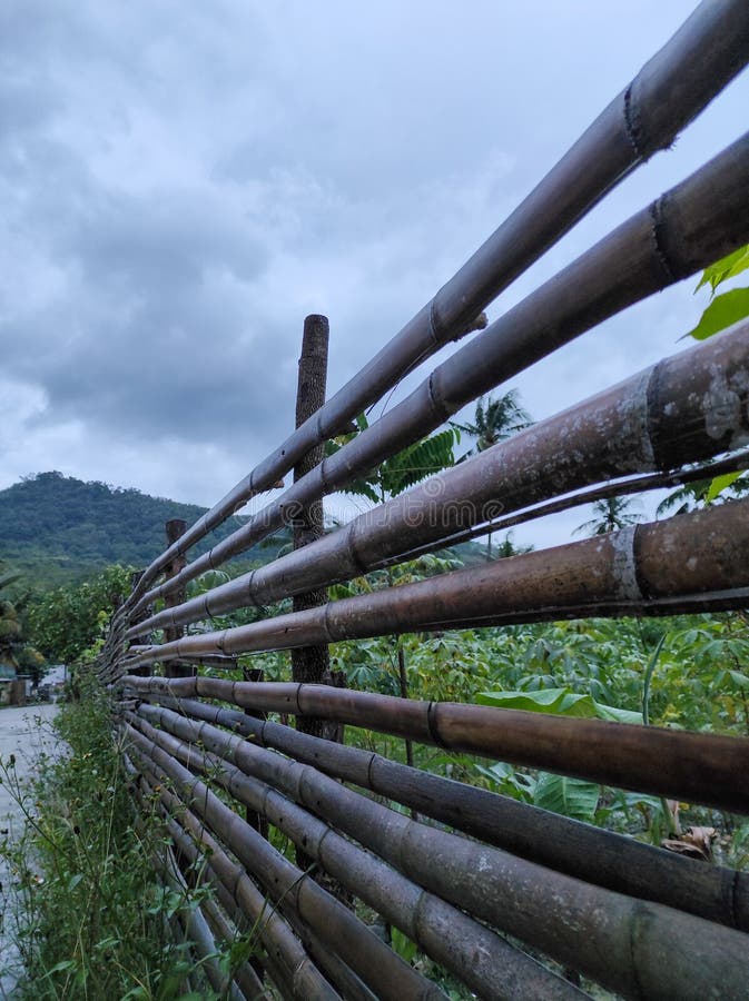 Rustic bamboo fence stock image. Image of garden, indonesian - 205527507