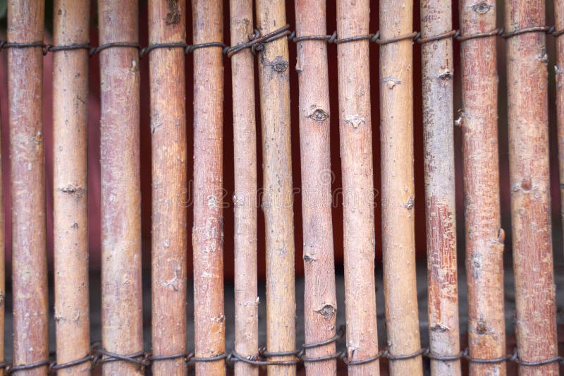 Rustic Bamboo Fence Texture with Natural Wooden Sticks and Rough ...
