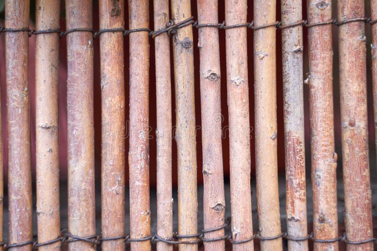 Rustic Bamboo Fence Texture with Natural Wooden Sticks and Rough ...