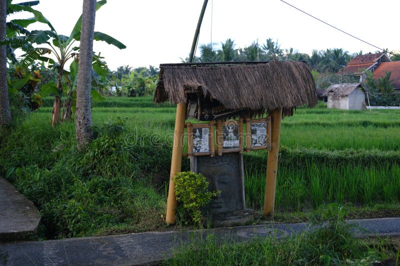 529 Bamboo Sign Board Stock Photos - Free & Royalty-Free Stock Photos ...