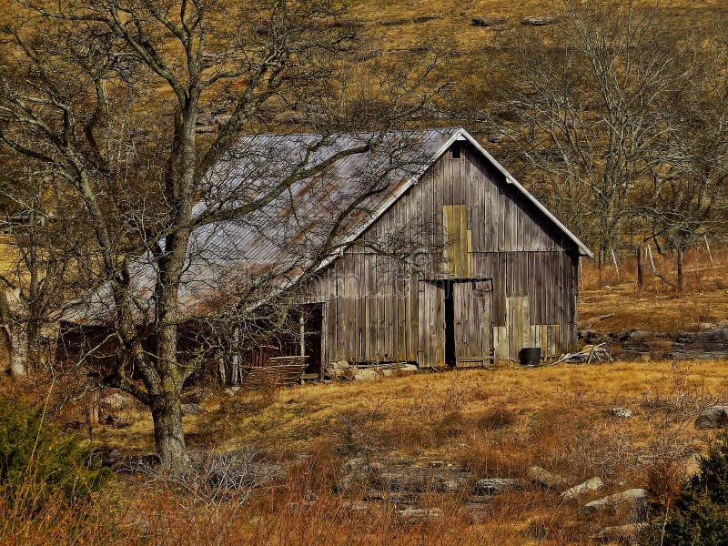 Rustic barn stock photo. Image of wildflowers, rustic - 66685552