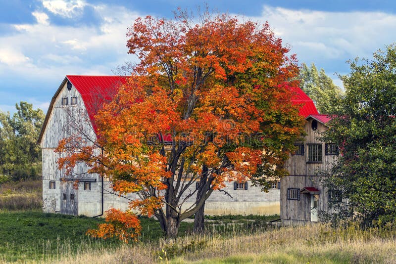 Country Barn in Autumn stock image. Image of rural, foliage - 60449697