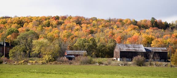 Rustic Barn and Fall Colours Stock Photo - Image of seasonal, colorful ...