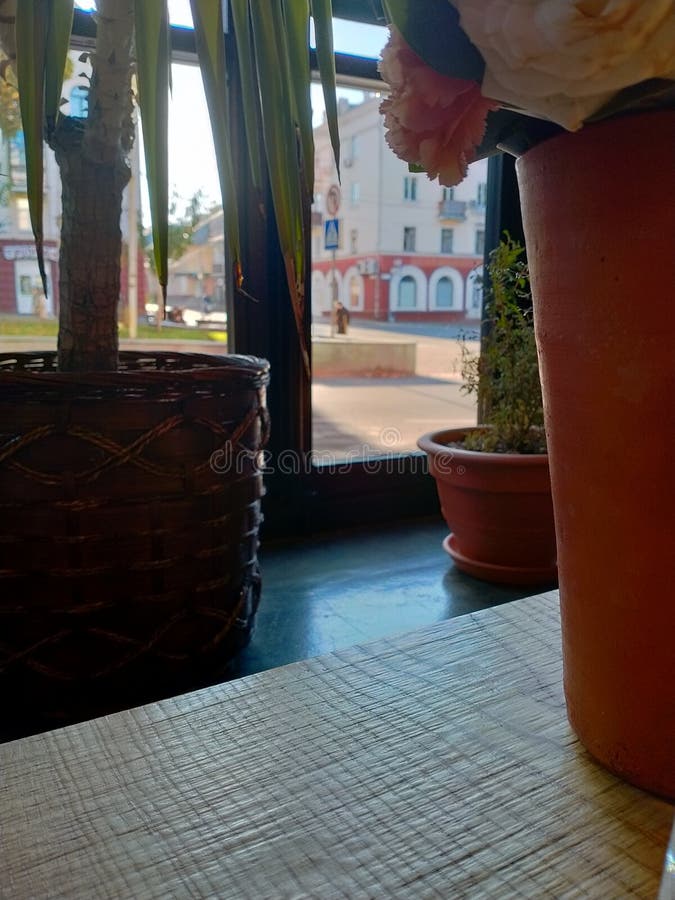 Basket by Café Window in Soft Light Stock Photo - Image of wood, window ...