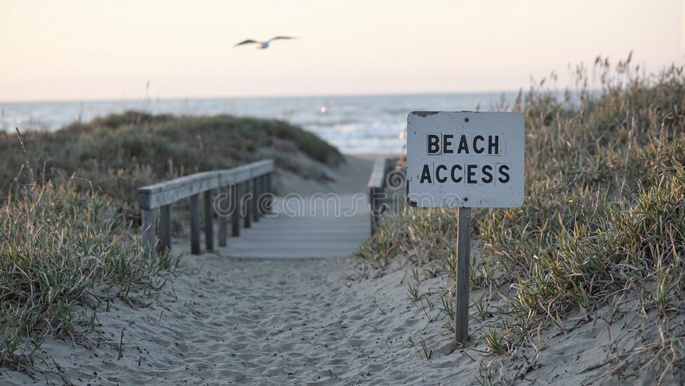 Rustic Beach Access Sign on Sandy Beach with Boardwalk Dunes Seagulls ...