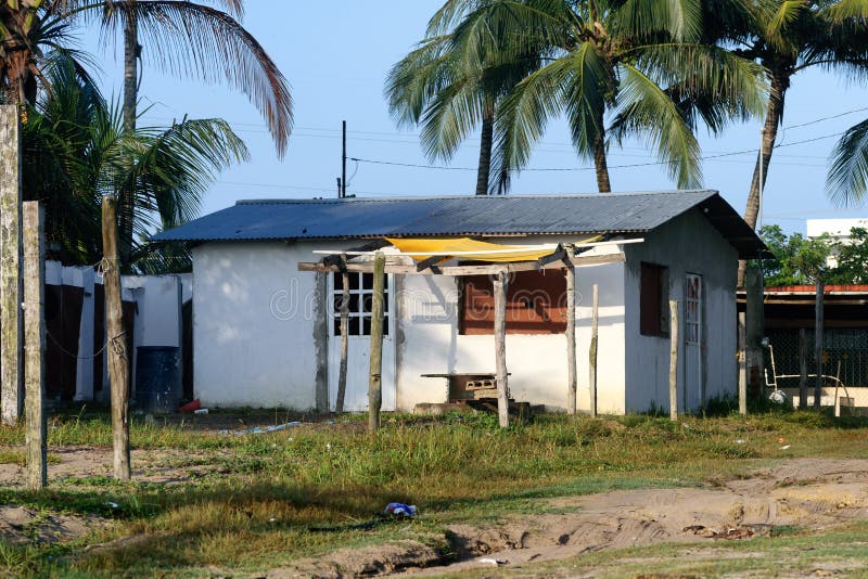 Rustic Beach Shack with Four Surfboards in Front of it Stock Image ...