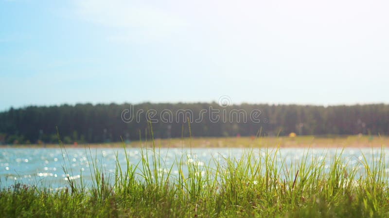 Rustic Beach by the River. Sky. Wind. Beach. Grass Stock Video - Video ...