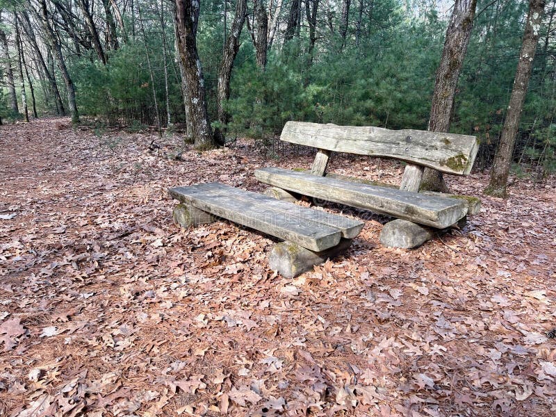 Rustic Bench on the Ice Age Trail Stock Photo - Image of landscape ...