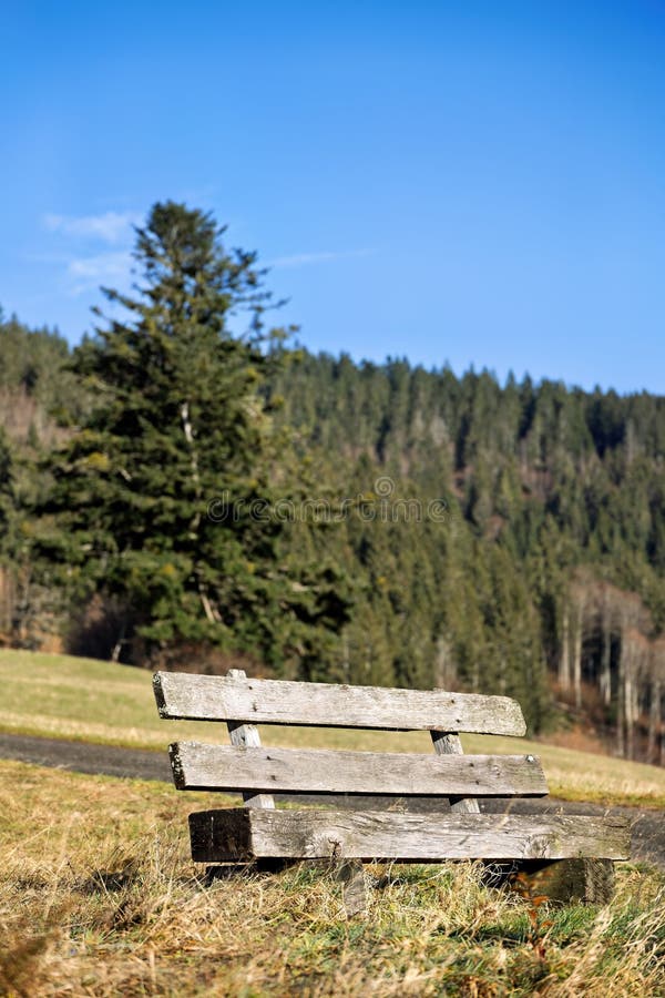 Rustic Bench in Tranquil Meadow with Forest Backdrop Stock Image ...