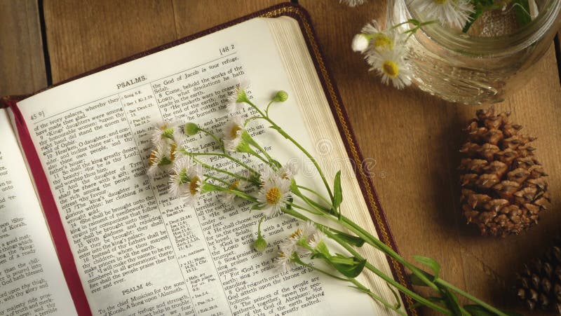 Rustic Bible on a Wooden Background with Flowers Stock Image - Image of ...