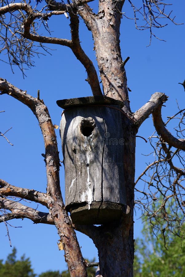 Rustic Bird House on Tree stock photo. Image of nature - 14250198