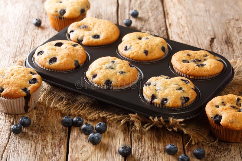 Rustic Blueberry Muffins Close-up in a Baking Dish. Horizontal Stock ...