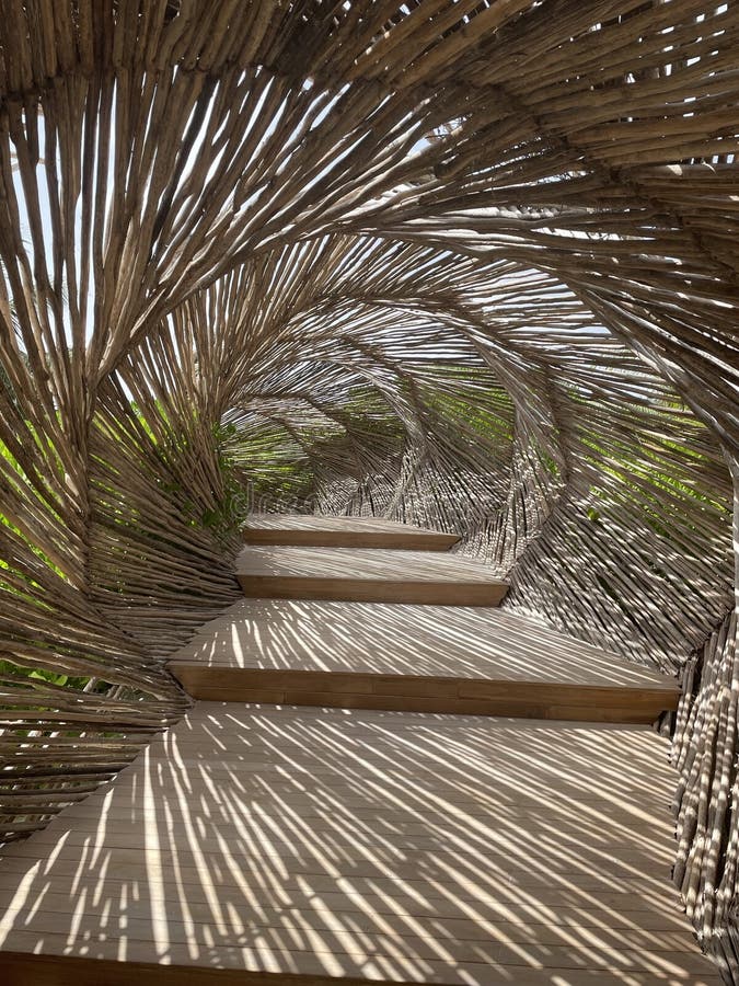 Rustic Branch Fence stock photo. Image of post, rustic - 32580634