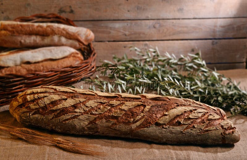 Rustic bread stock photo. Image of organic, fresh, morning - 49828680