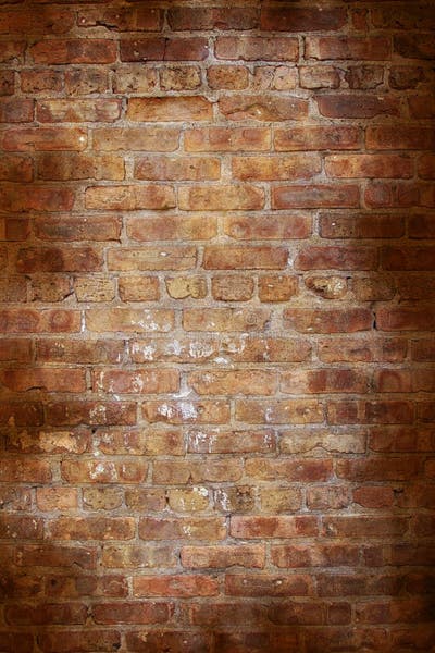 Rustic Brick Backdrop Background Stock Photo - Image of light, portrait ...