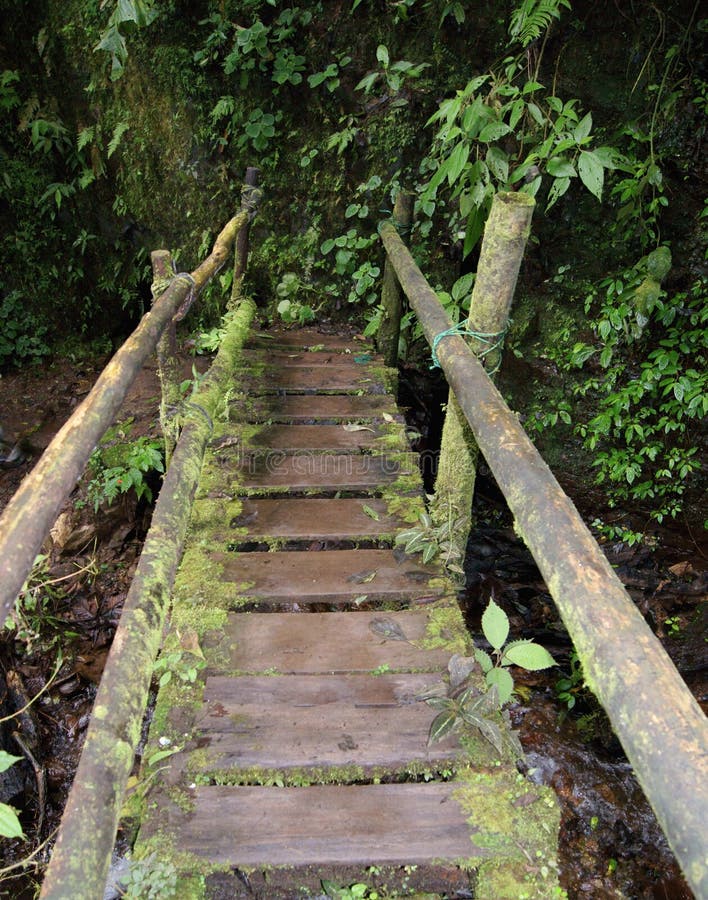 Rustic bridge stock photo. Image of structure, hand, journey - 20198492