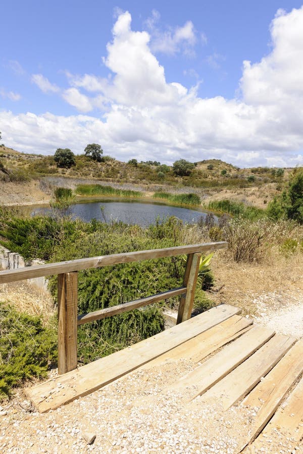 A Rustic Bridge Crosses Over a Stream or River Surrounded by Lush ...