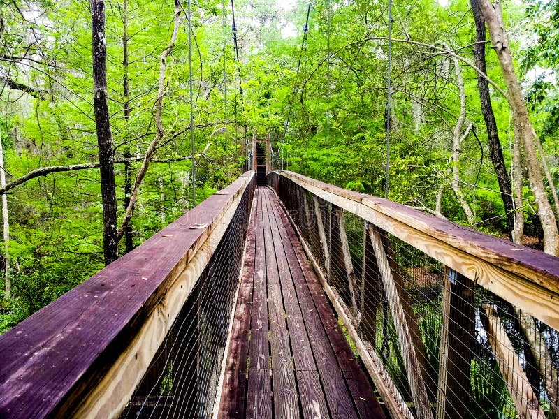 Old Rustic Bridge Of Wooden Planks On A Metal Base With Iron Handrails ...