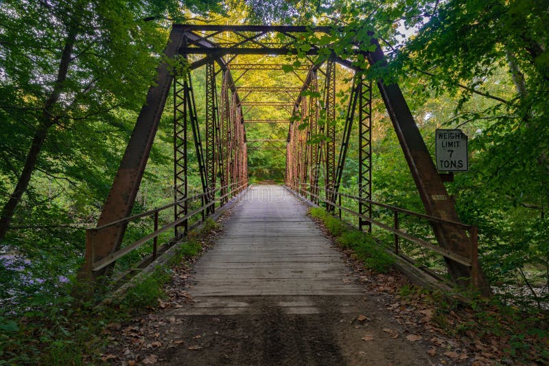 Rustic Bridge Surrounded by Dense Trees Stock Photo - Image of rails ...