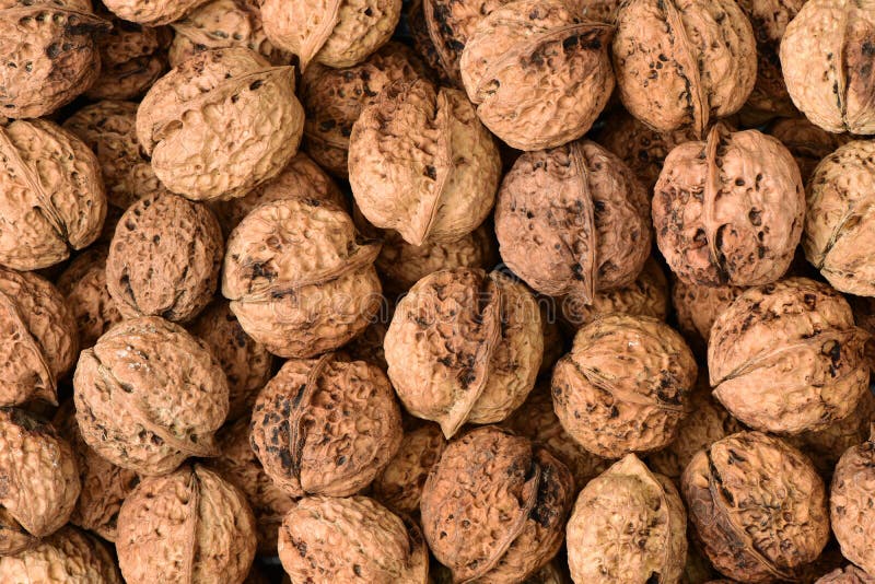 Walnut heart-shape stock photo. Image of natural, brown - 9862786