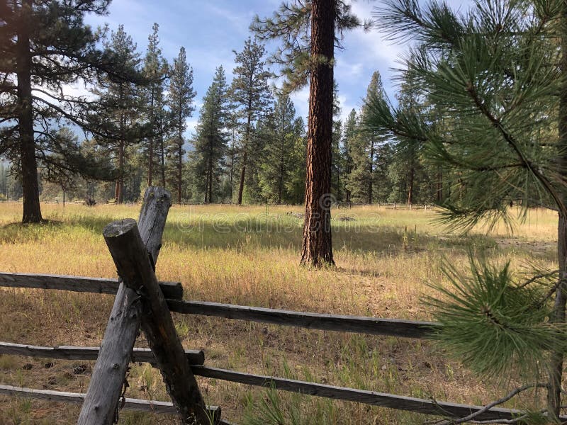 Buck fence stock photo. Image of grand, sagebrush, pole - 44088358