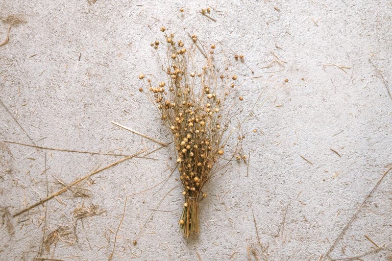 Rustic Bundle of Dried Flowers on Textured Surface for Natural Decor ...