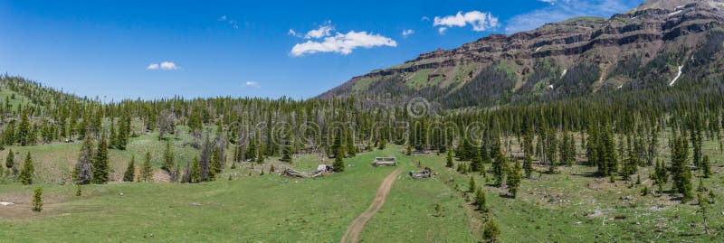Rustic Cabin Structures in Pine Forest Stock Image - Image of america ...