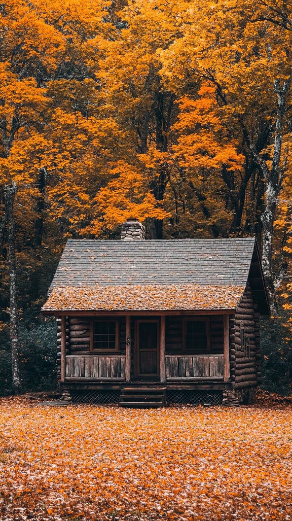 A Rustic Cabin Surrounded by Fall Foliage. Stock Photo - Image of ...