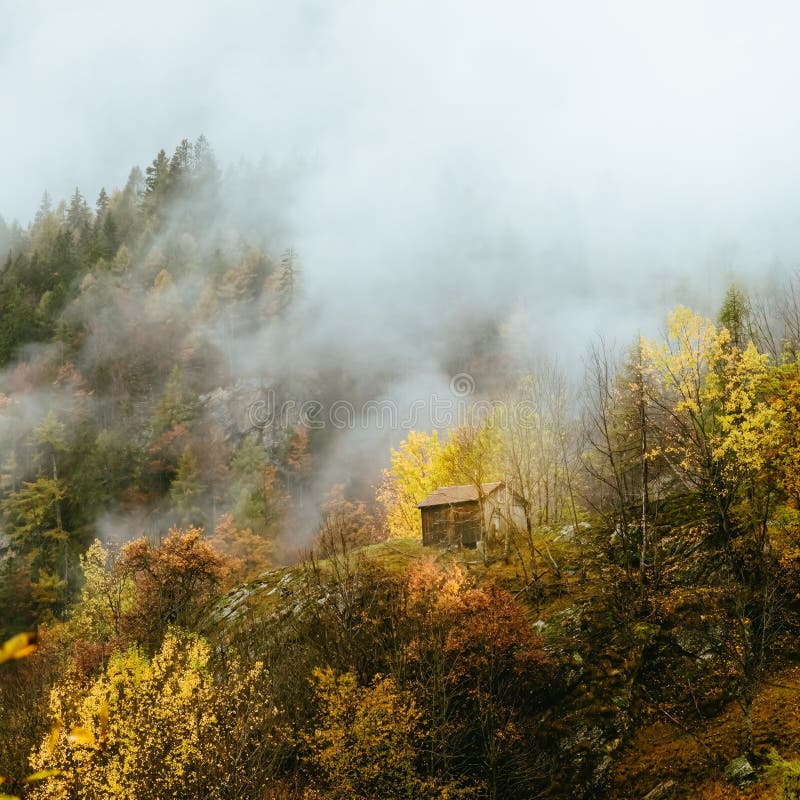 Rustic Cabin in Autumn Mist Stock Photo - Image of retreat, environment ...