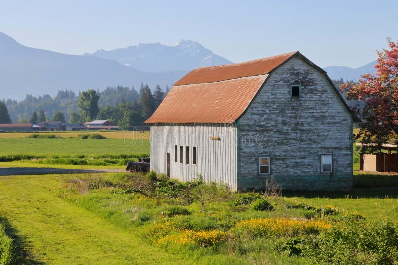 Rustic Canadian Barn in Valley Stock Image - Image of exterior, dutch ...