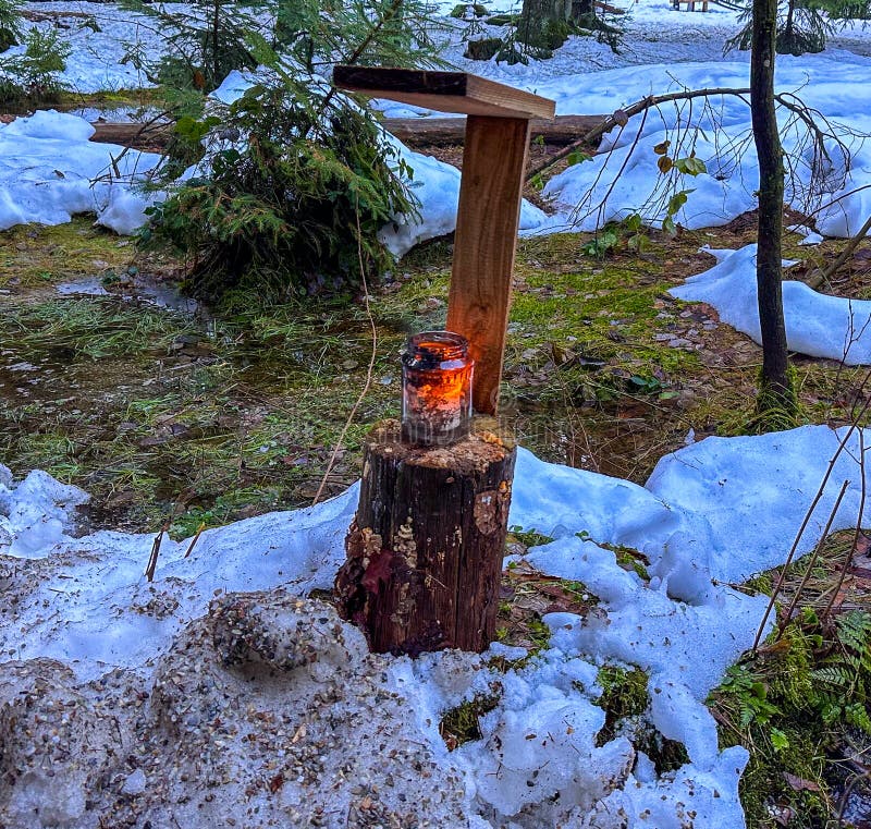 Rustic Candle Lighting a Forest Path Stock Image - Image of autumn ...