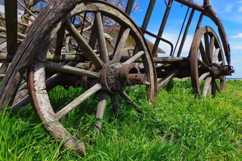 Rustic cart in green grass stock image. Image of carriage - 54404297