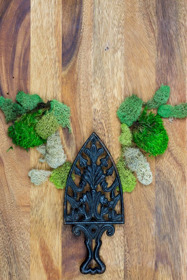 Rustic Cast Iron, Tarnished Shakers and Moss with Wooden Backgro Stock ...