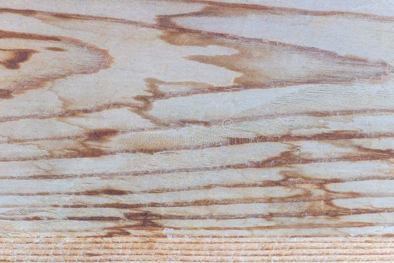 Rustic Charm: a Close-Up Shot of a Natural Wooden Texture Stock Image ...
