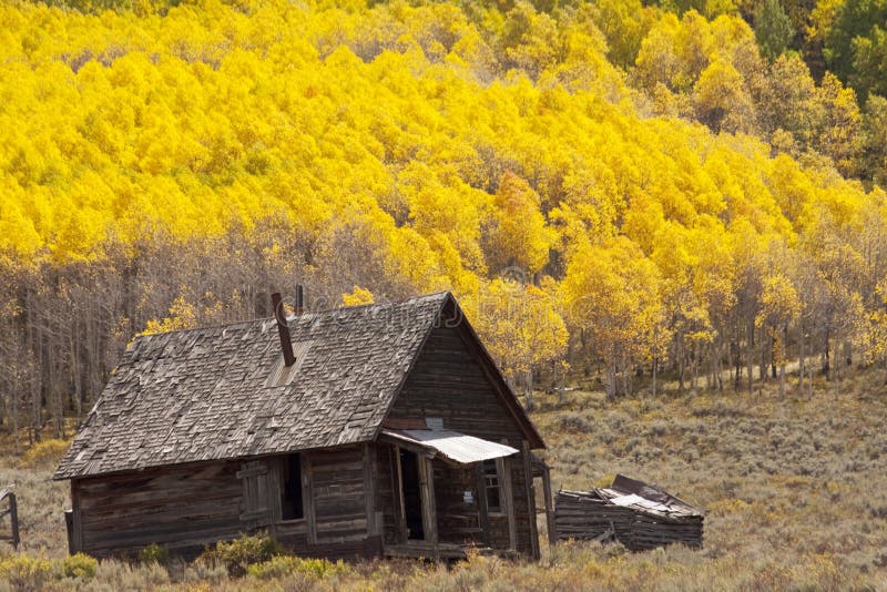 Rustic Colorado Cabin stock image. Image of juan, cabin - 87801157