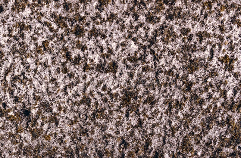 Rustic Concrete Texture with Lichen and Mold. Wallpaper of Old Stone ...