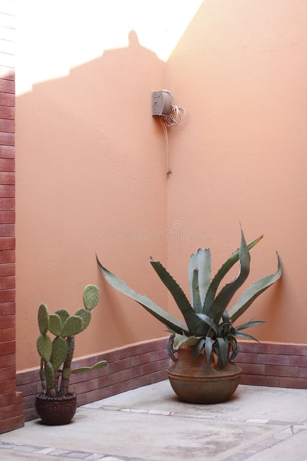 Legado Visual (Legadovisual) - Photographer profile