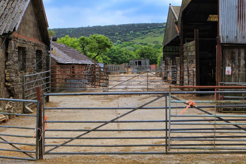Rustic country farm yard stock photo. Image of farm, vintage - 74620088