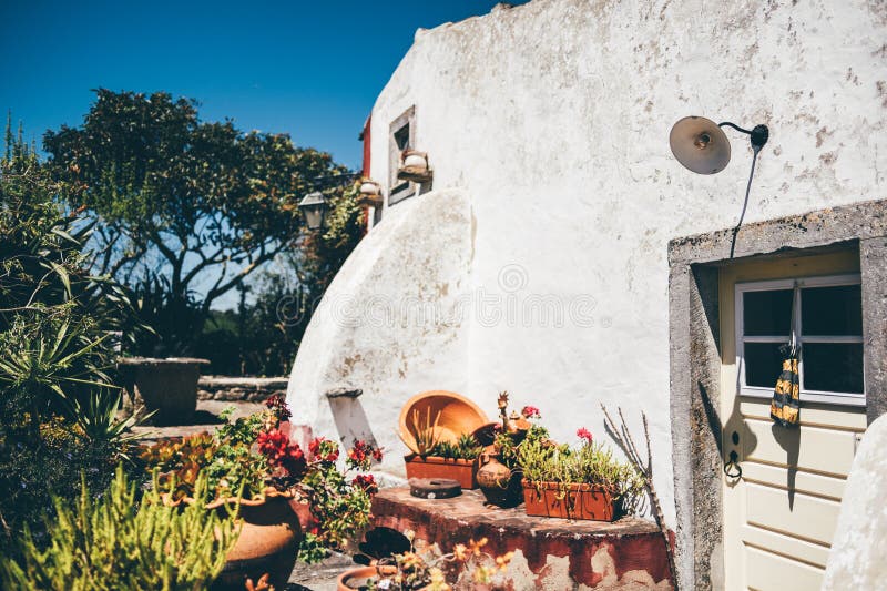 Rustic Courtyard with Potted Plants Stock Photo - Image of exterior ...