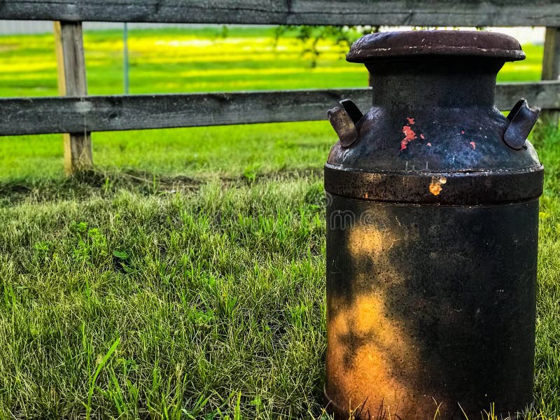 Rustic dairy milk can stock image. Image of rustic, antique - 123496097