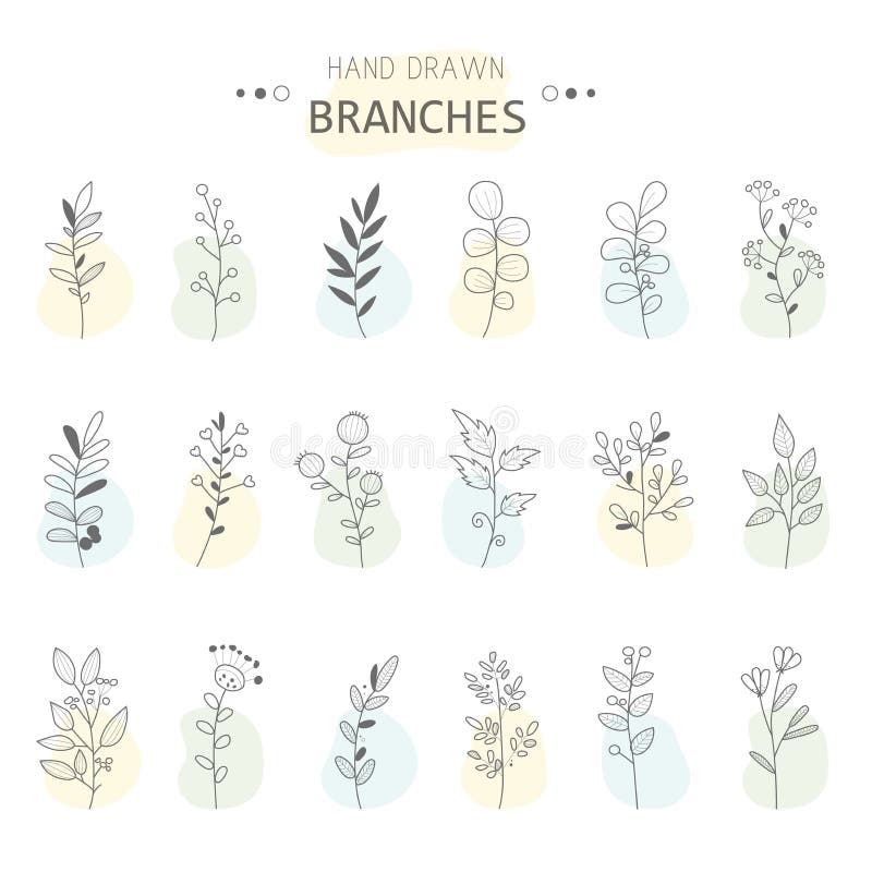 Rustic Decorative Branches and Flowers Collection. Hand Drawn Vintage ...