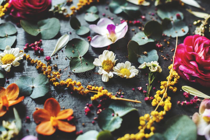 Rustic Decorative Flowers and Leaves Stock Photo - Image of hanging ...